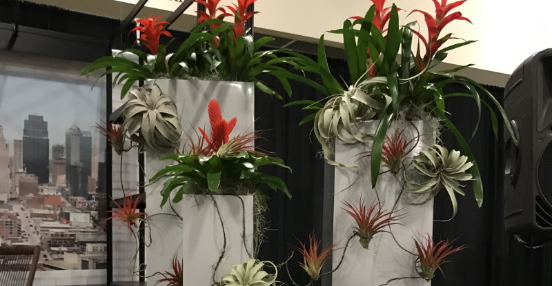 Takeaways from the TROPICAL PLANT INTERNATIONAL EXPO 2020