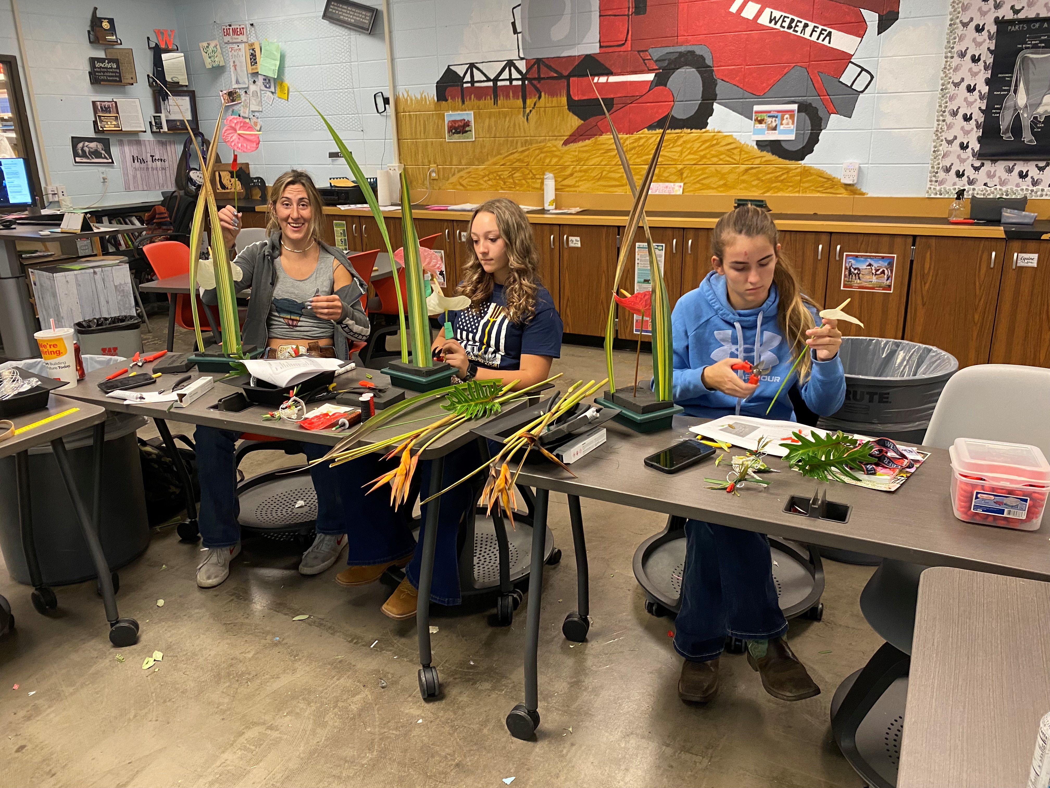 Bring FFA to AIFD® Virtual Workshop 2021